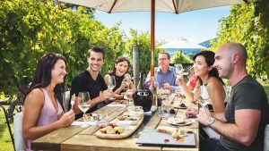 Gourmet Wine Tour Marlborough | Vineyard Lunch & Winemaker Guide | Hop ...